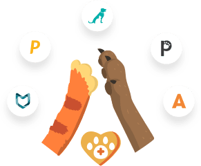 Does Insurance Cover Service Dogs? | Pawlicy Advisor