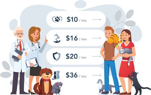 Get Help Paying Your Pet’s Vet Bills | Pawlicy Advisor